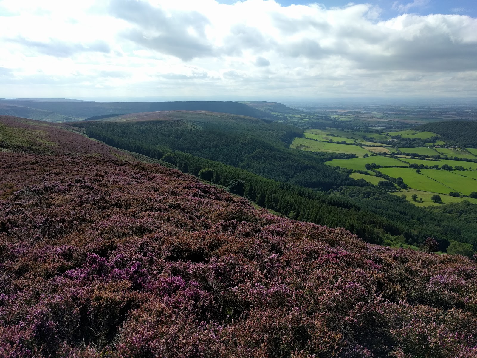 The Last Word On Nothing Moors Love Or Hate Discuss The Last Word On Nothing Moors Love Or Hate Discuss